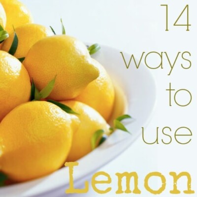 Lemon Hacks - Your Modern Family