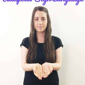 adapted sign language - Your Modern Family