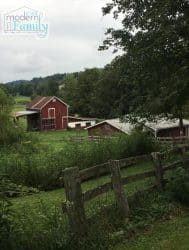 5 FarmLife Traditions we do with our family… - Your Modern Family